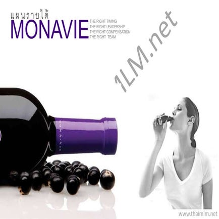 แผนรายได้โมนาวี MonaVie โดย www.thaimlm.net