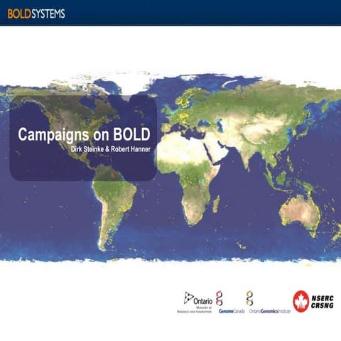 Dr Robert Hanner & Dr Dirk Steinke - Campaigns on BOLD | PPTX