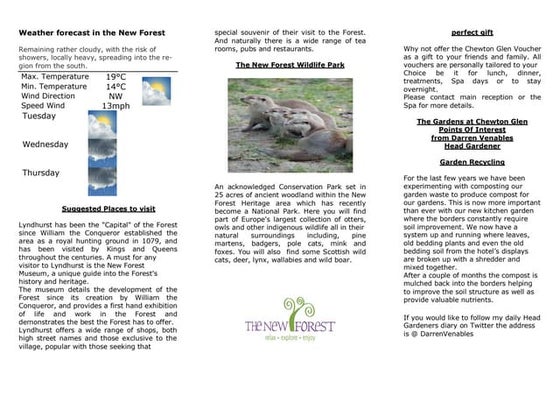 Cbg Cnscvb Ad Rev5 17 | PDF