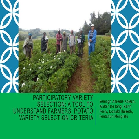 Participatory variety selection: a tool to understand farmers’ potato variety selection criteria ...