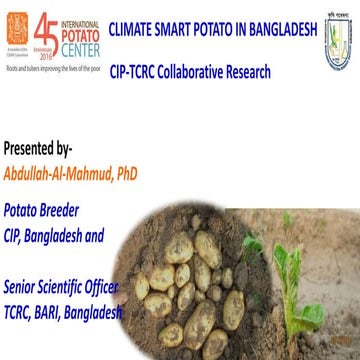 Theme 4: Evaluation of CIP-bred clones for expansion of potato ...