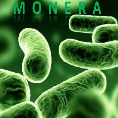 Monera | PPTX