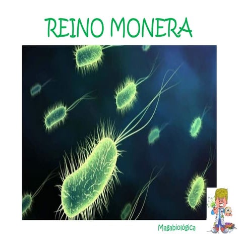 Monera | PPT