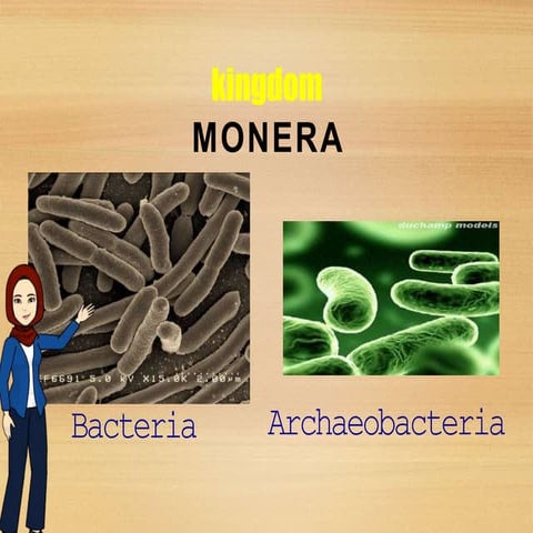 Monera.pptx