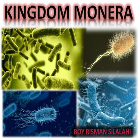 kingdom Monera----Bakteri-----kelas X SMA | PPT