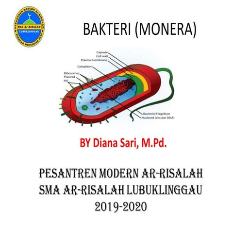 Monera bakteri | PPT