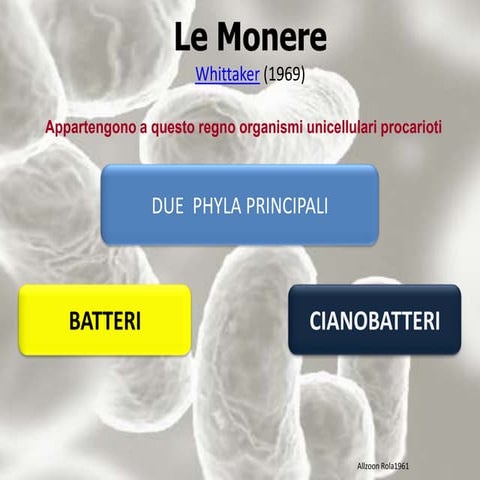 Monere | PPTX