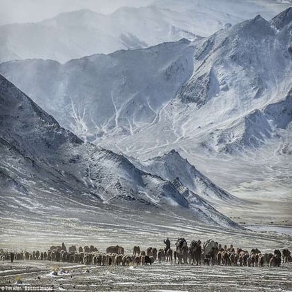 Mongolian Nomads' Spring Migration-Photographer Timothy Allen | PPSX ...