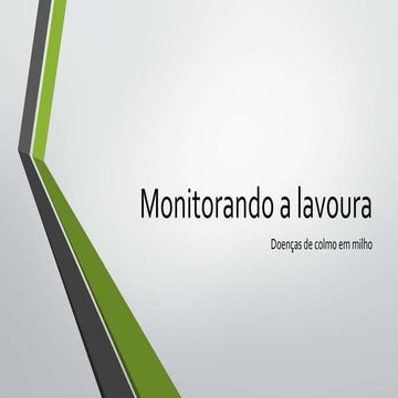 Monitorando a Lavoura - Doenças do colmo do milho | PPTX