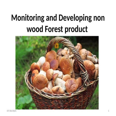 Monitoring and Developing non wood Forest product.pptx