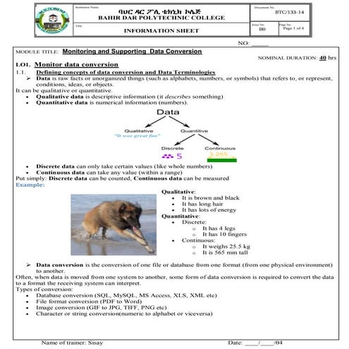 Monitoring and Supporting Data Conversion.pdf