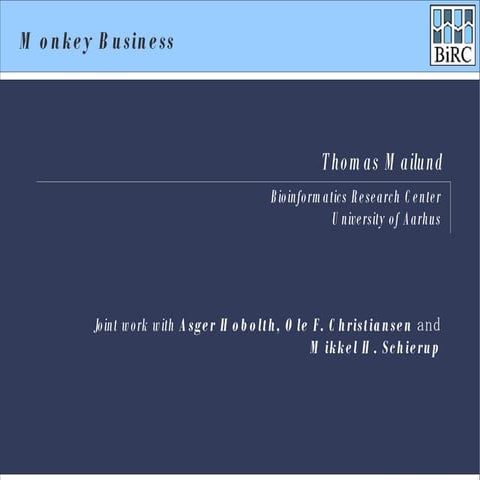 Monkey Business | ODP