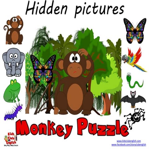 Monkey puzzle-hidden-pictures | PPTX