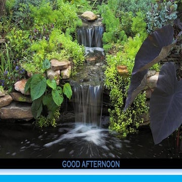 monkey pox.pptxMpox is a rare disease caused by the monkeypox virus. It ...