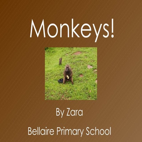 MOnkeys | PPT