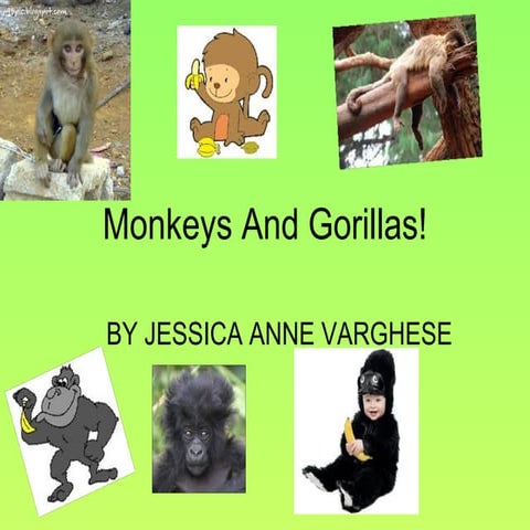 Monkeys and gorillas! | PPT