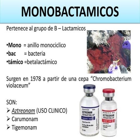 MONOBACTAMICOS.pptx