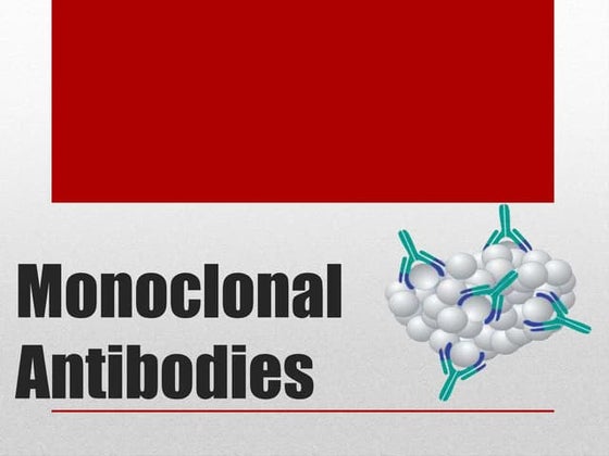 Monoclonal Antibody | PPT