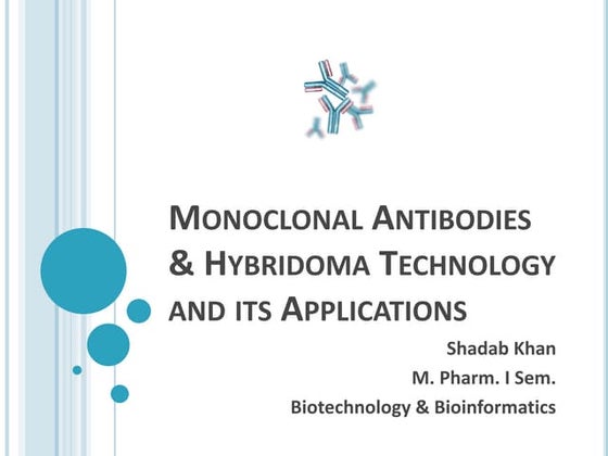 Hybridoma Technology ( Production , Purification , and Application ) | PPTX | Blood Disorders ...