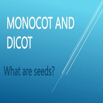 Monocots and dicots | PPT
