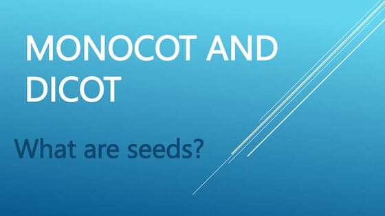 Monocots and dicots | PPT