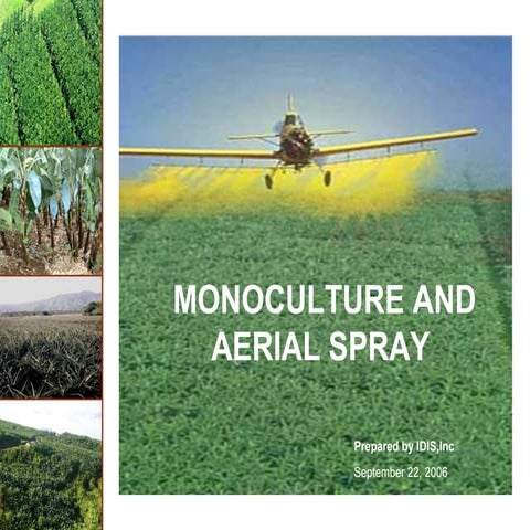 Monoculture and as | PPT