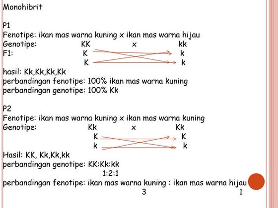 Proses Monohibrid, Intermedia, Dihibrid | PPTX