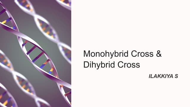 Monohybrid And Dihybrid Crosses Explained Ppt