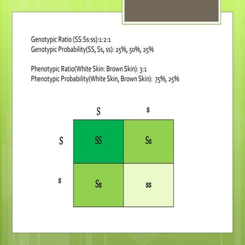 Monohybrid crosses | PPT