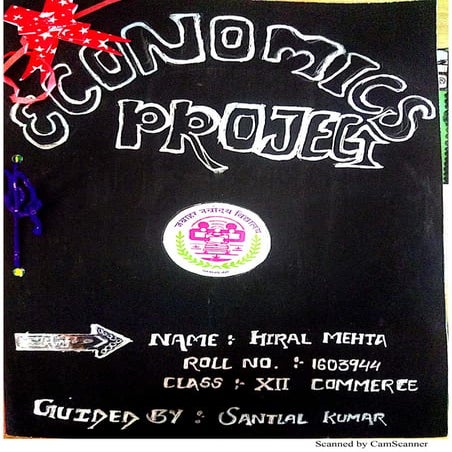 Monopoly Indian Railway - Economics Class 12 Commerce Project | PDF