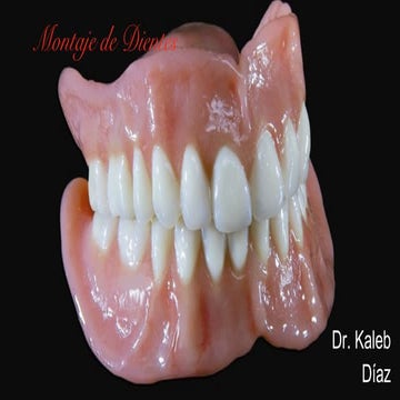 Dimension, forma y color de los dientes artificiales protesis total | PDF