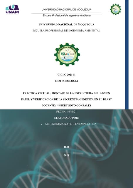 Hoja De Trabajo Sobre La Estructura Del Adn