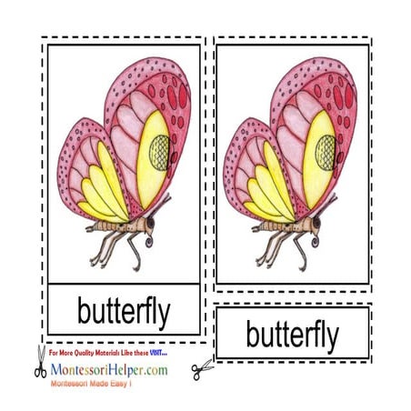 Montessori butterfly nomenclature cards ages 6 to 9 | PDF