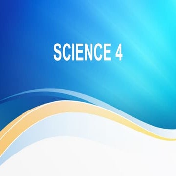 NECO BECE Basic Science Past Questions and Answer for JSS3 | PDF