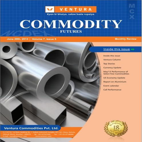 Commodities June 2013 Review | PPT