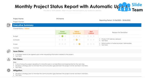 Project Status Summary One Pager Report Presentation Report Infographic ...