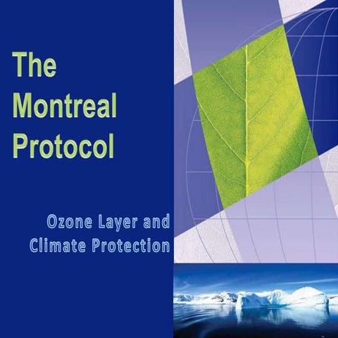 Montreal_protocol_Report | PPTX