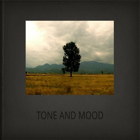 mood and tone grade eleven power point presentation | PPT