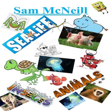 animal mood board | PDF