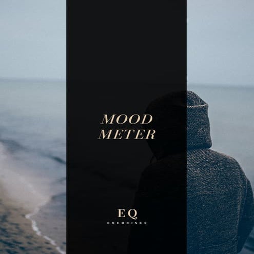 Mood Meter (EQ) | PDF