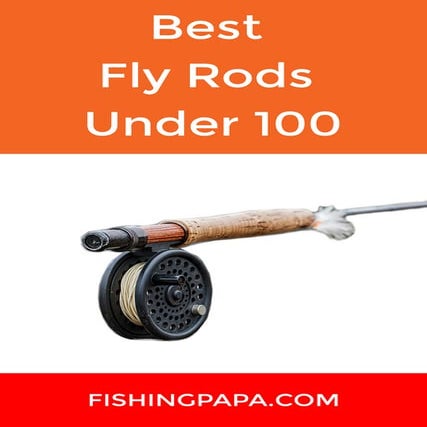 Best Fly Rods under 100 | PDF