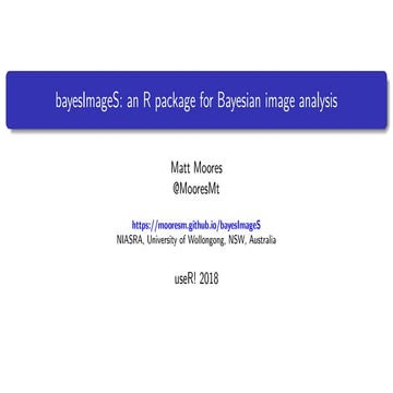 Bayesimages An R Package For Bayesian Image Analysis Ppt