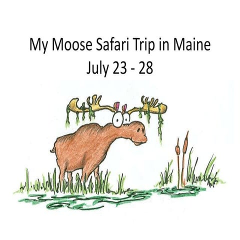 Moose slide show | PPTX