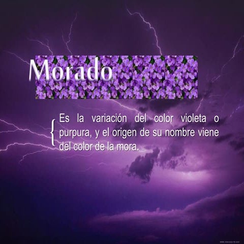 Cita Sobre El Color Morado