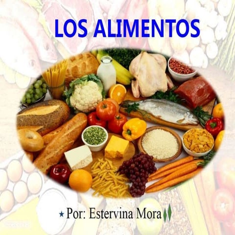 LOS ALIMENTOS SEGÚN SU ORIGEN Y FUNCIÓN | PPTX