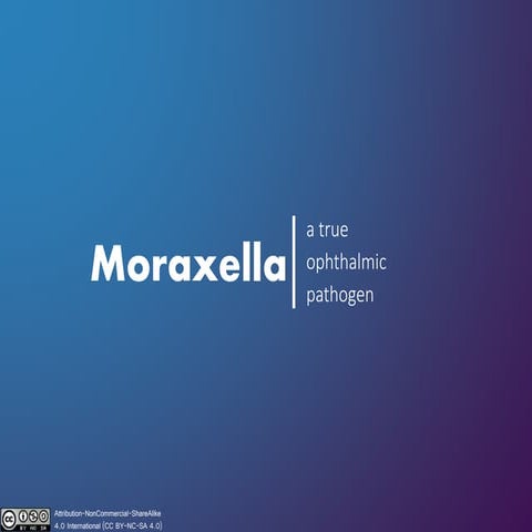 Moraxella | PDF