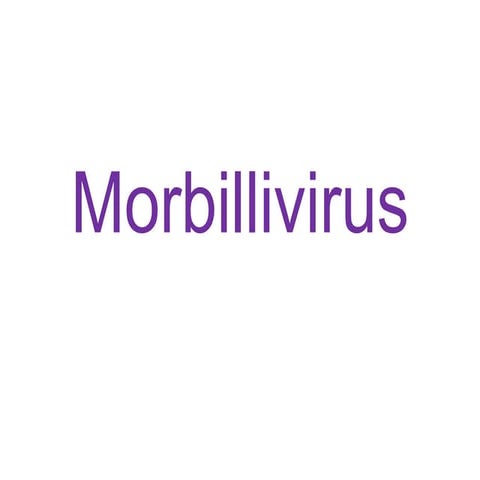 Presentation on Morbillivirus for undergraduate teaching | PPT