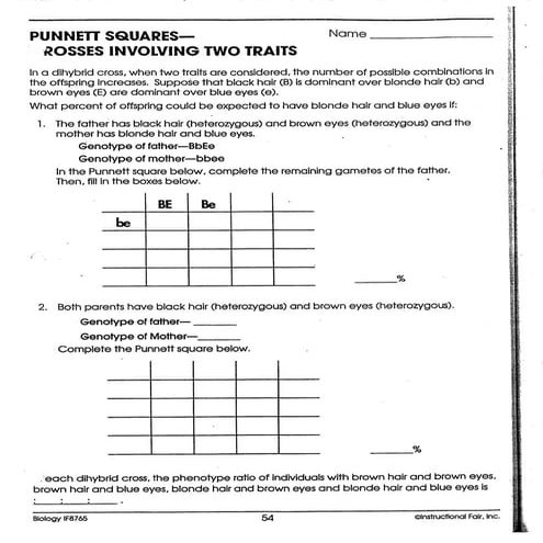 More Genetics Problems | PDF