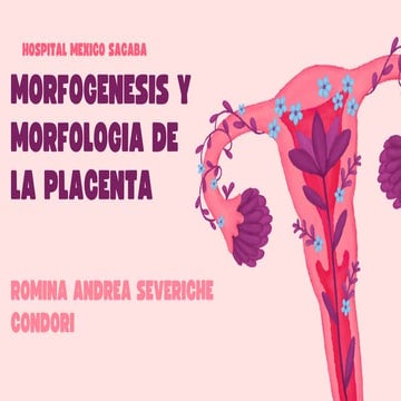 morfogenesis y morfologia de la placenta.pdf