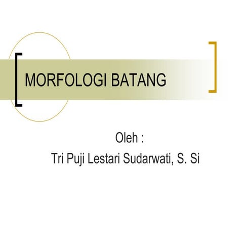 morfologi batang | PPTX